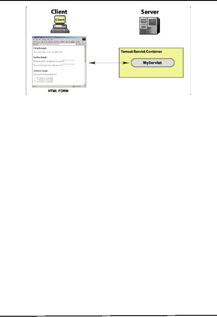 Web Design And Development Computer Science Web Design And Development